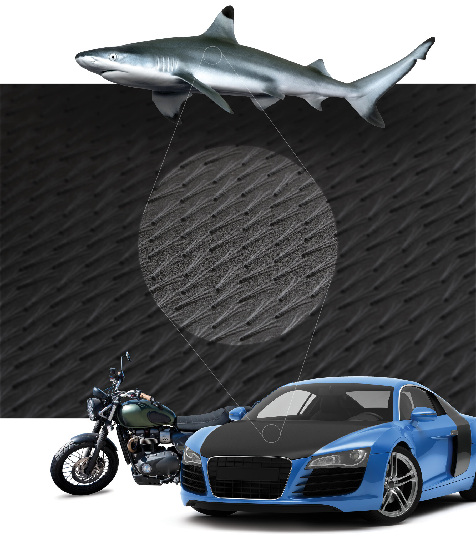 PROTOtex - Eschmann Textures